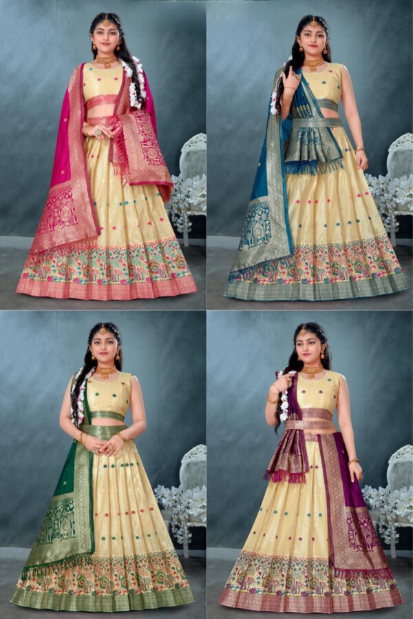 paithani ghagra – JAIHIND MILL